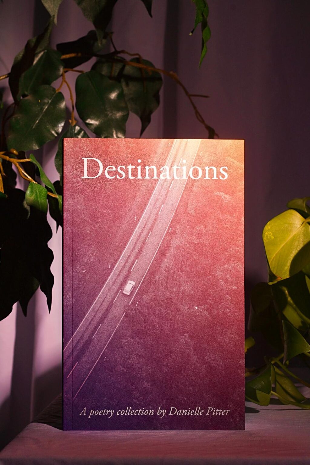 Destinations: Pre-Order My New Poetry Book! - PoetryBooksYA